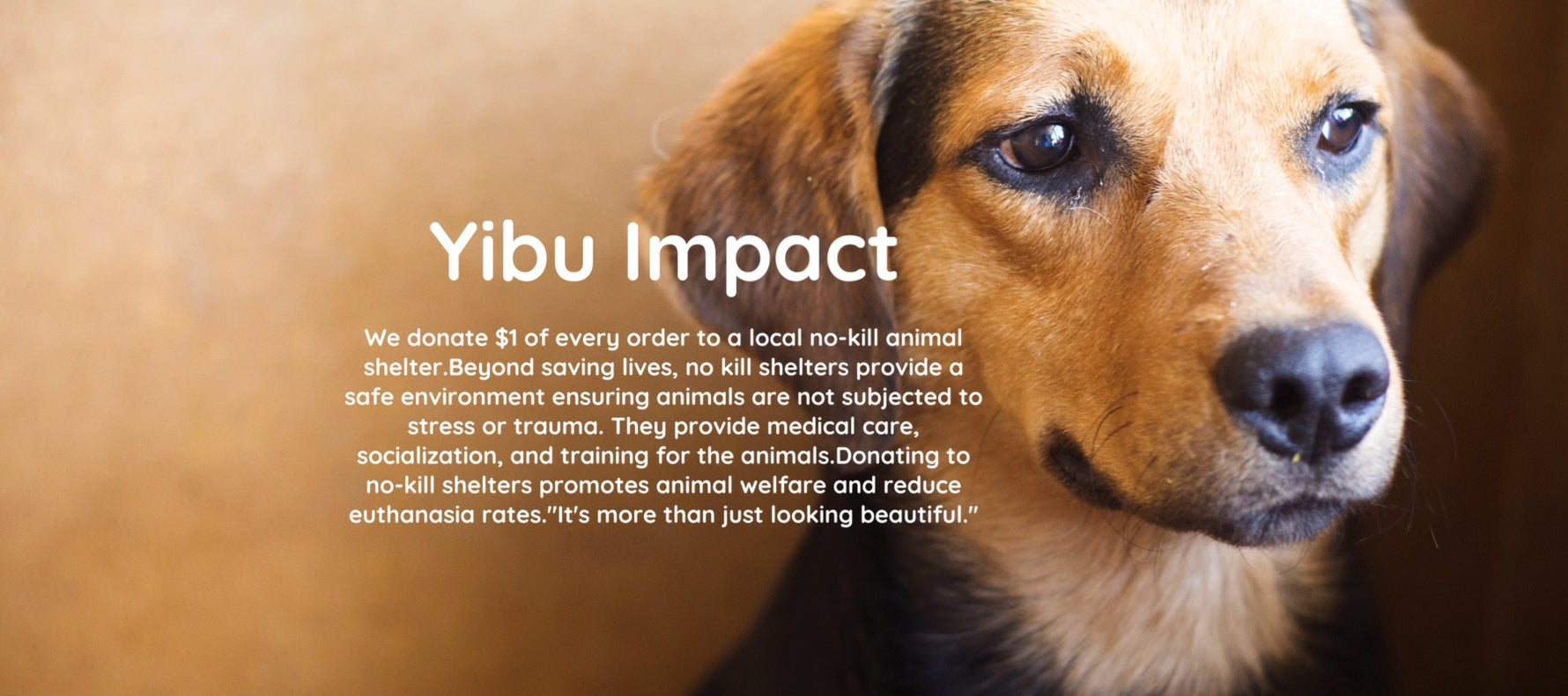 Best Skin Care Products For Beauty | Yibu Beauty – YIBU BEAUTY